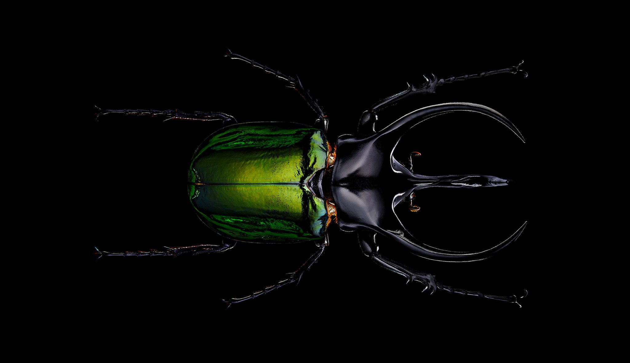 Home - Patrick Steel